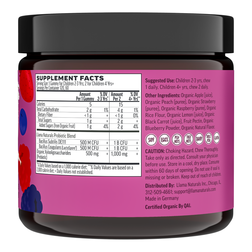 Real Fruit Probiotic & Prebiotic Gummies for Kids (Mixed Berry), 120 Ct ...